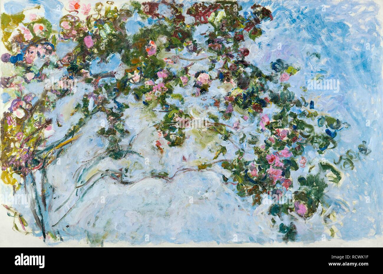Roses. Museum: Musée Marmottan Monet, Paris. Author: MONET, CLAUDE ...