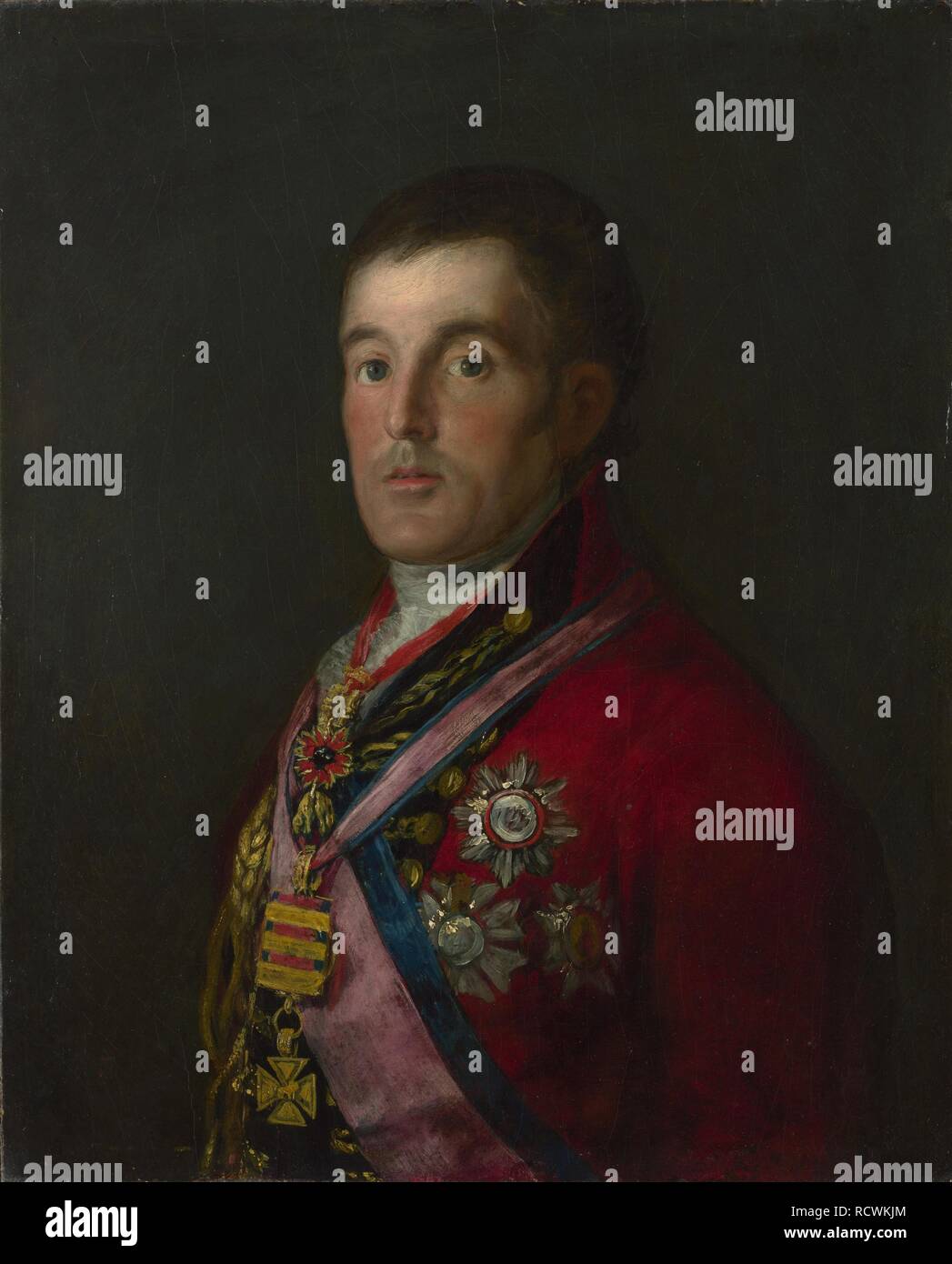 Portrait of Field Marshal Arthur Wellesley, 1st Duke of Wellington ...