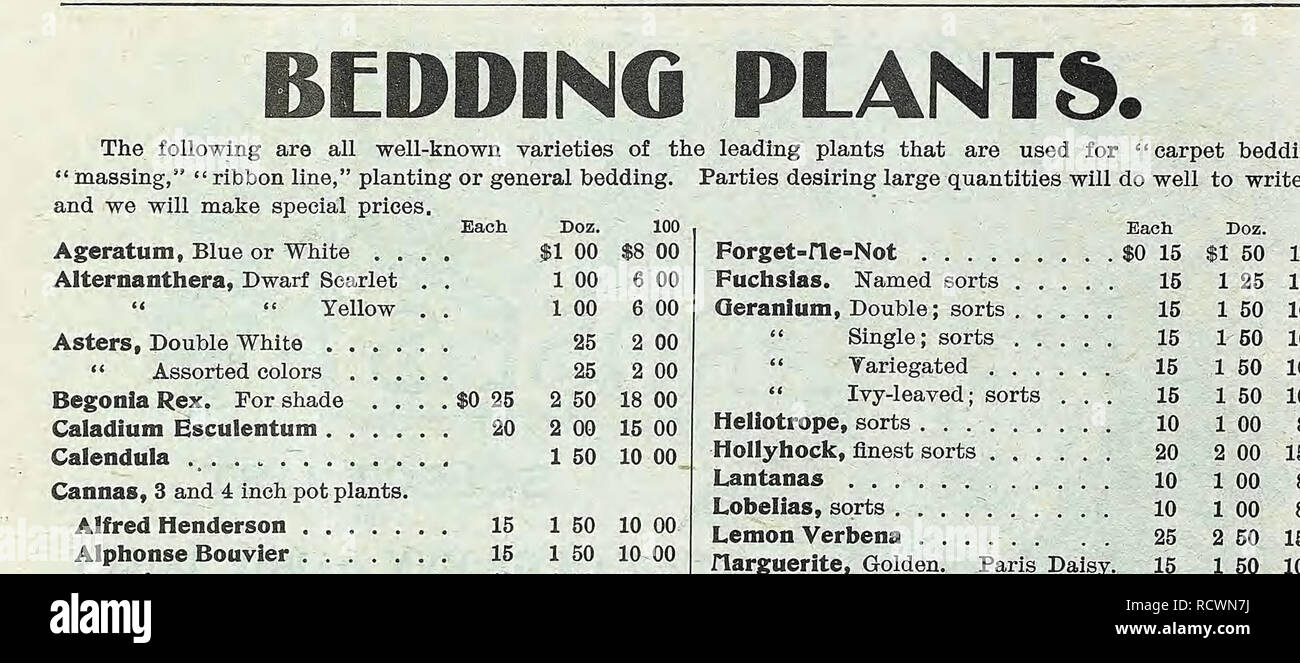 Atis fruit hi-res stock photography and images - Alamy