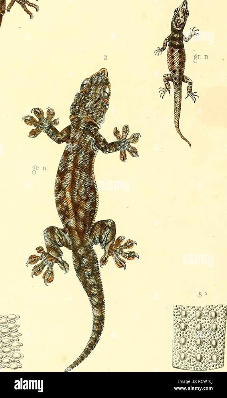 6 doigts hi-res stock photography and images - Alamy