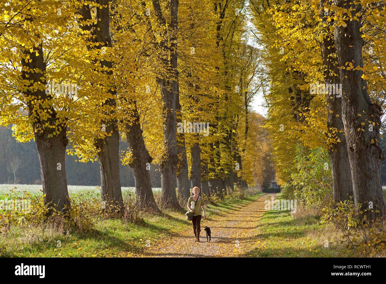 Women lower saxony hi-res stock photography and images - Alamy