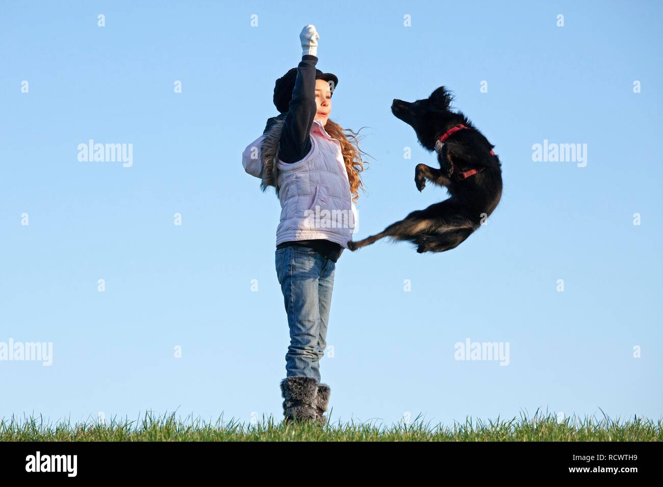 Girl making a dog jump Stock Photo - Alamy