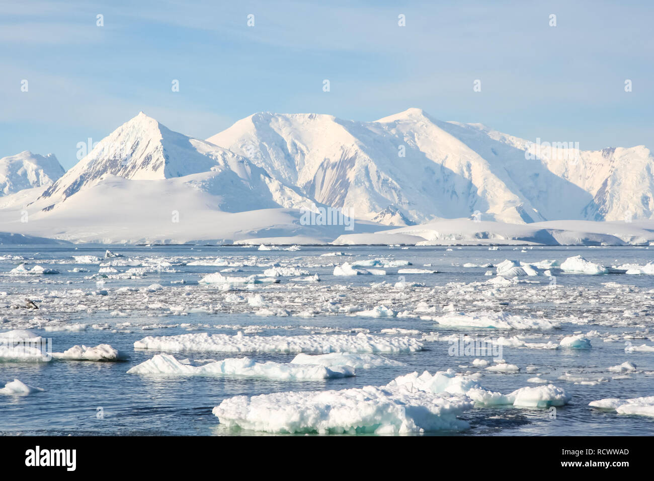 Antarctic icebergs in the waters of the ocean. Antarctic landscape ...