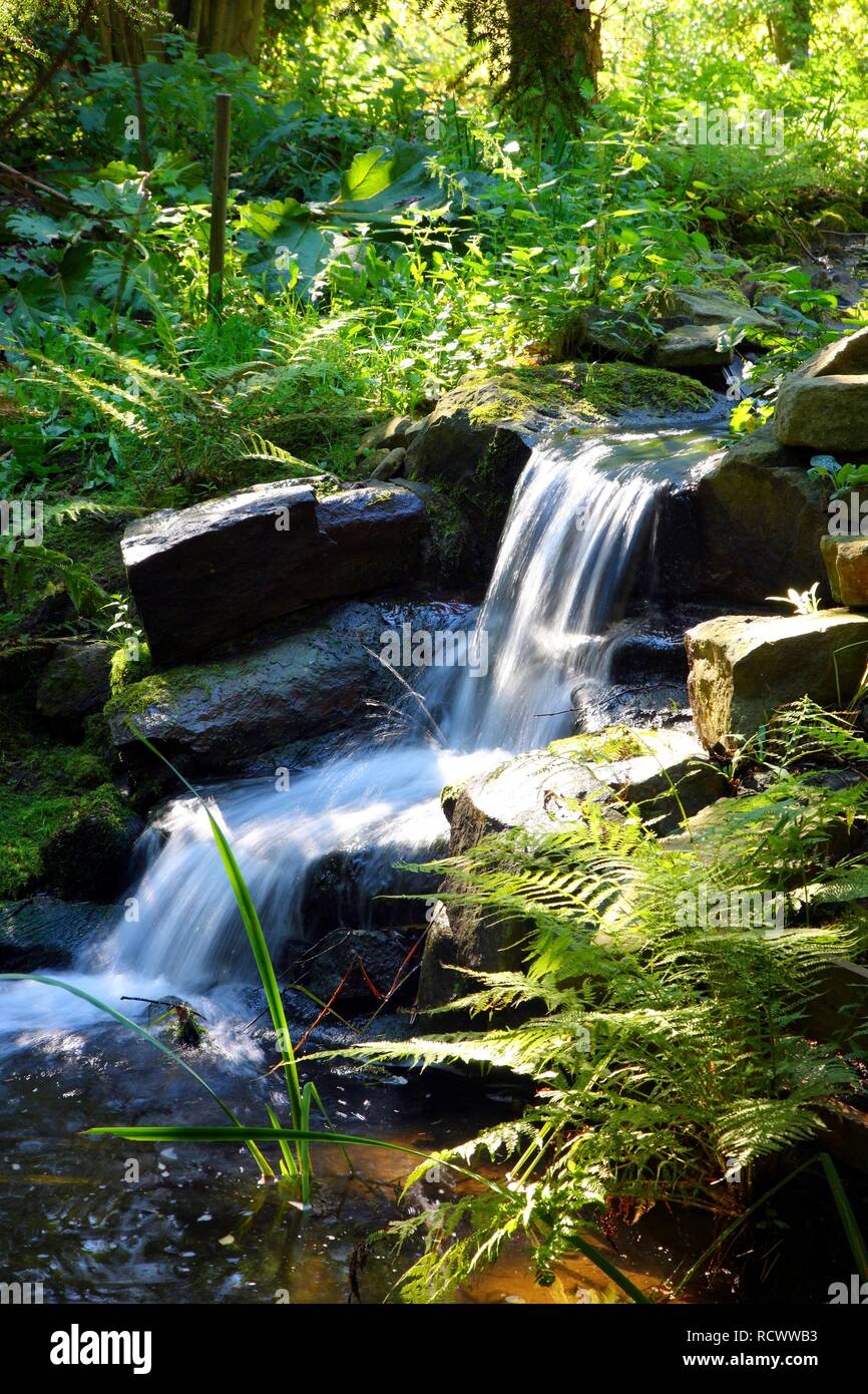 Botanical water flow hi-res stock photography and images - Alamy