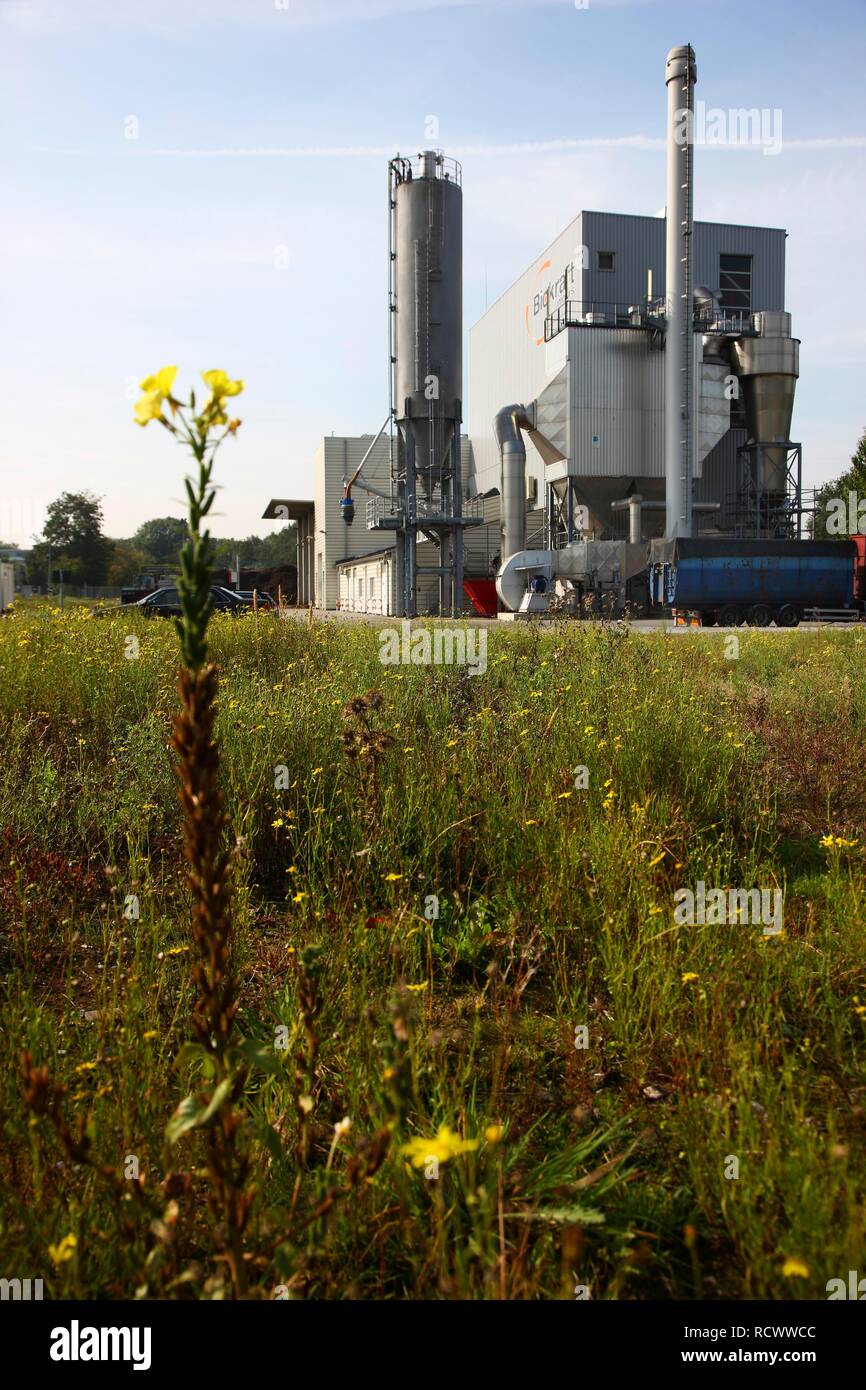 Biomass power plant not wood hi-res stock photography and images - Alamy