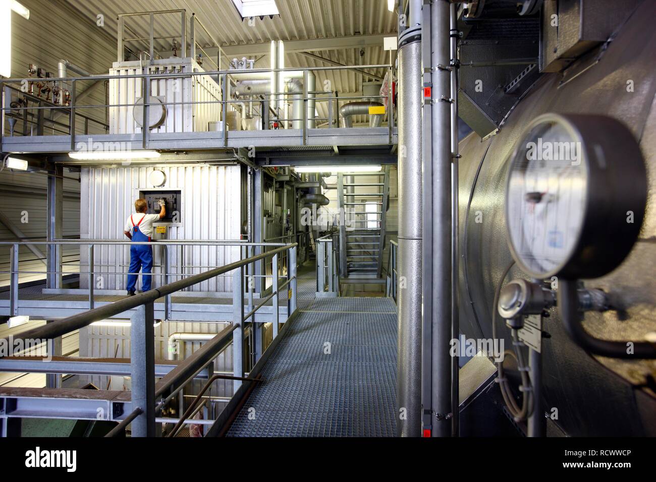 Boiler house of a biomass co-generation plant, combined heat and power ...
