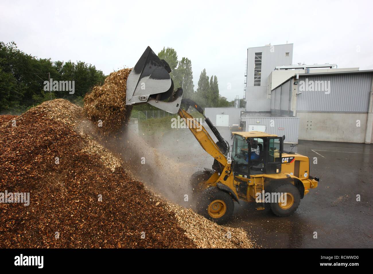 Delivery area and temporary storage for wood chips, the fuel of the ...