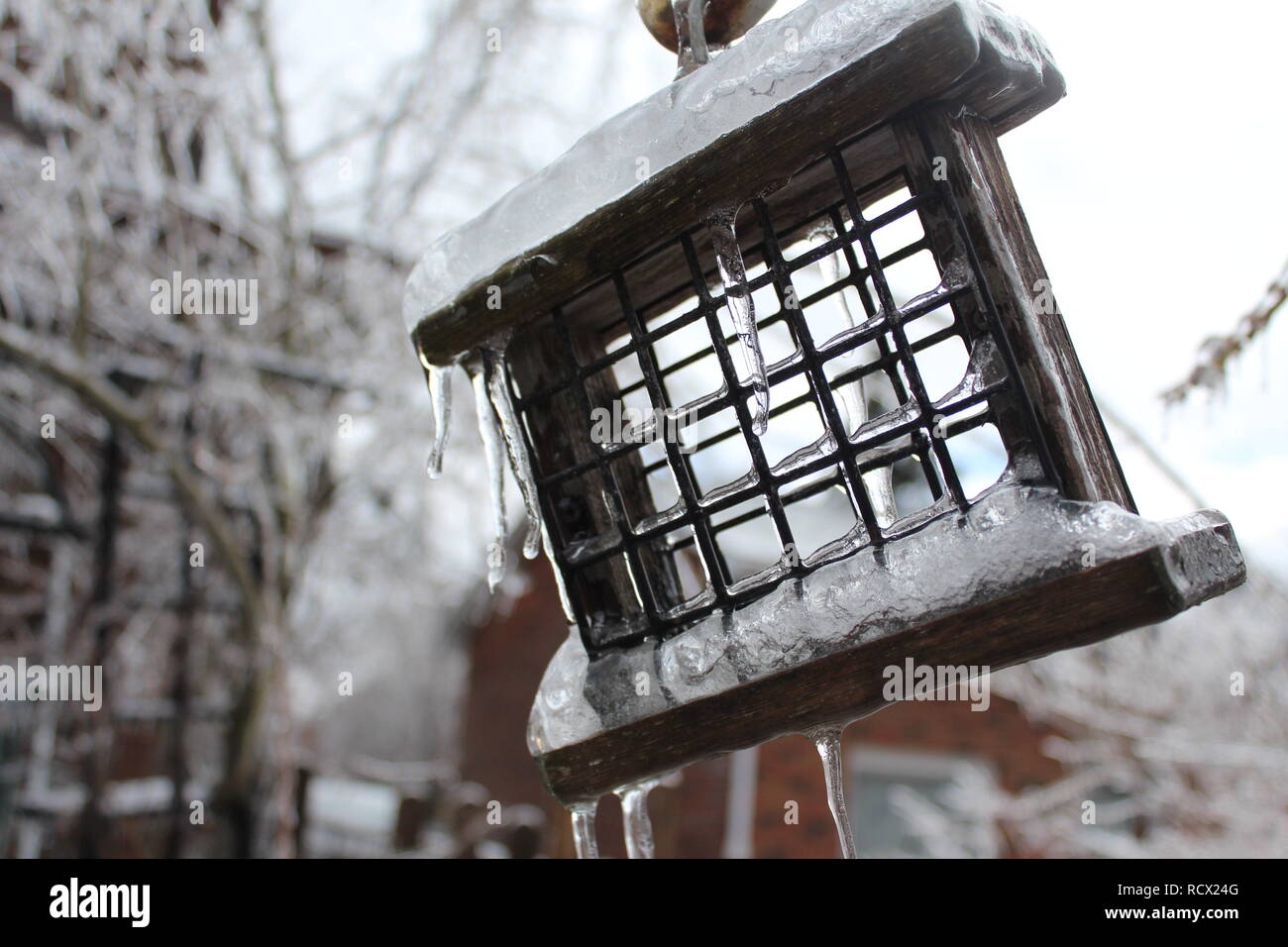 Ice cast hi-res stock photography and images - Alamy