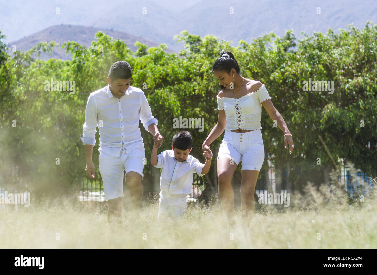 Sunny walk in forest hi-res stock photography and images - Alamy