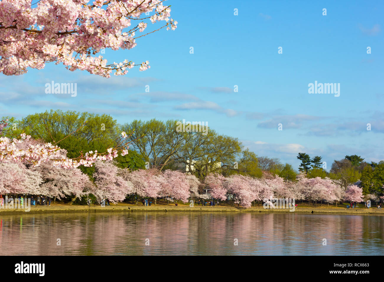 Tidal reservoir hi-res stock photography and images - Alamy