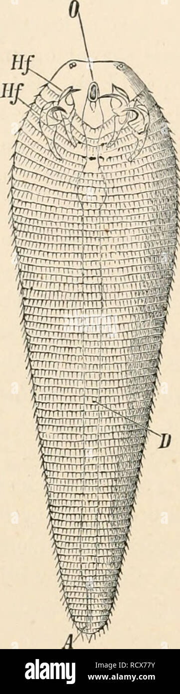 Cutaneous mass hi-res stock photography and images - Alamy