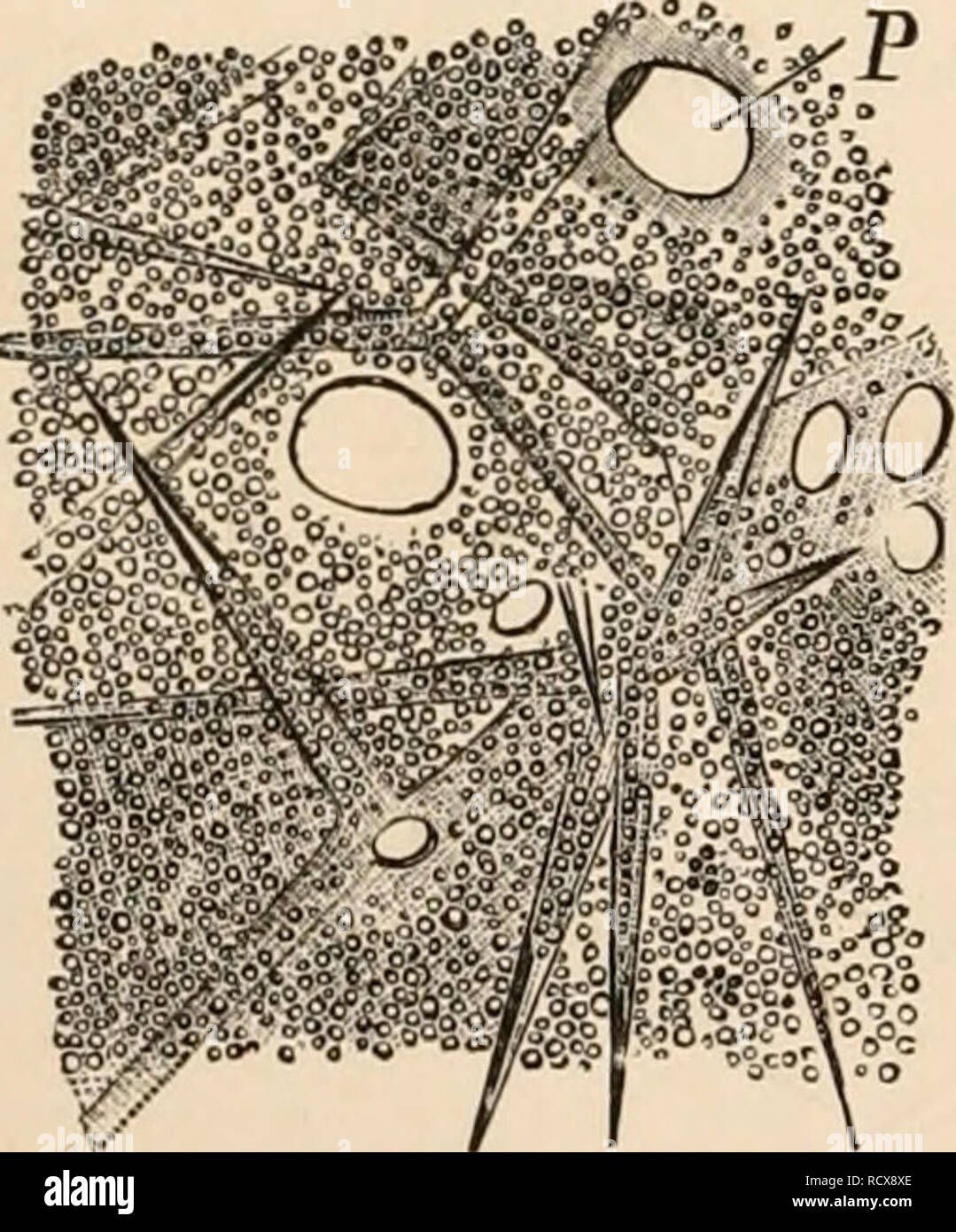 Six rays inside hi-res stock photography and images - Alamy