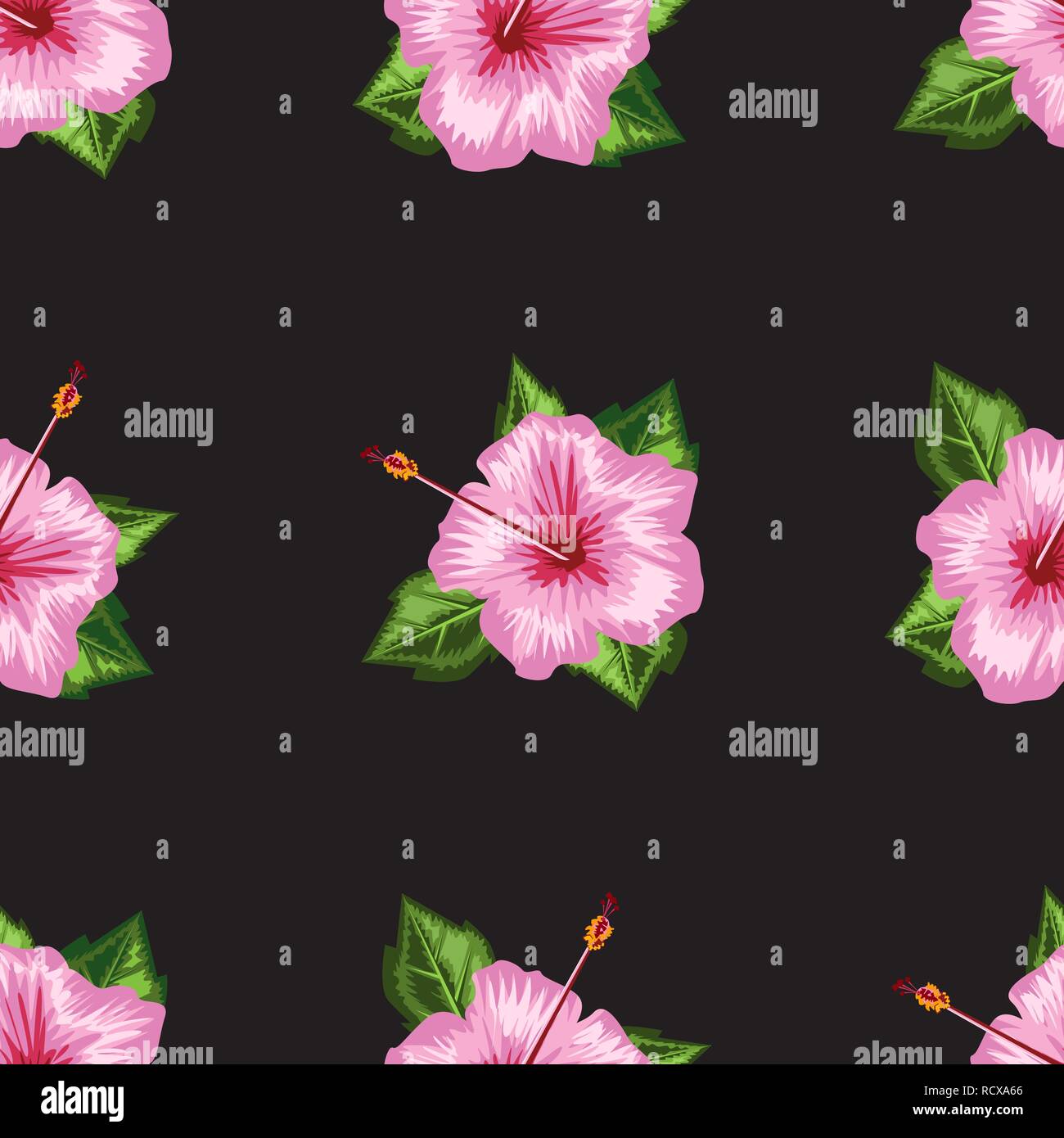 Hibiskus illustration hi-res stock photography and images - Alamy