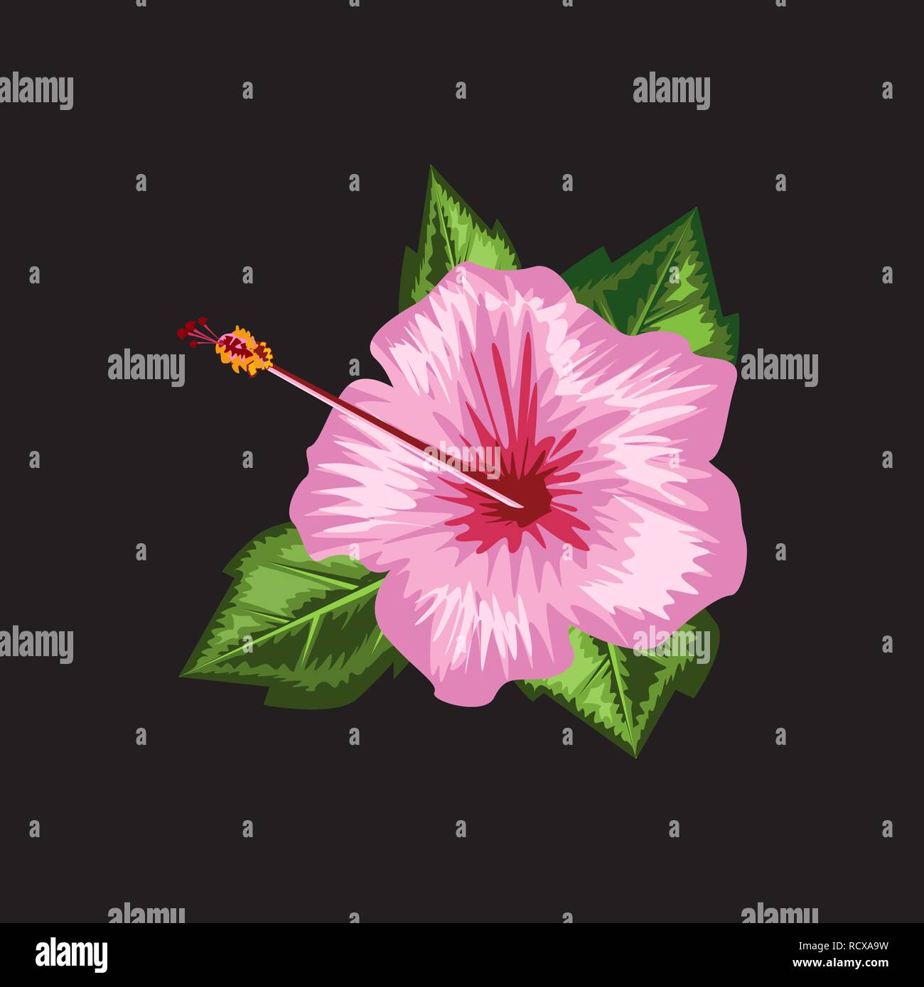 Hibiscus blooming flower with watercolor or hand drawn style. Flat and ...