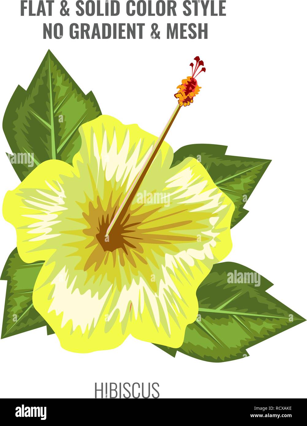 Yellow Hibiscus blooming flower with watercolor or hand drawn style ...