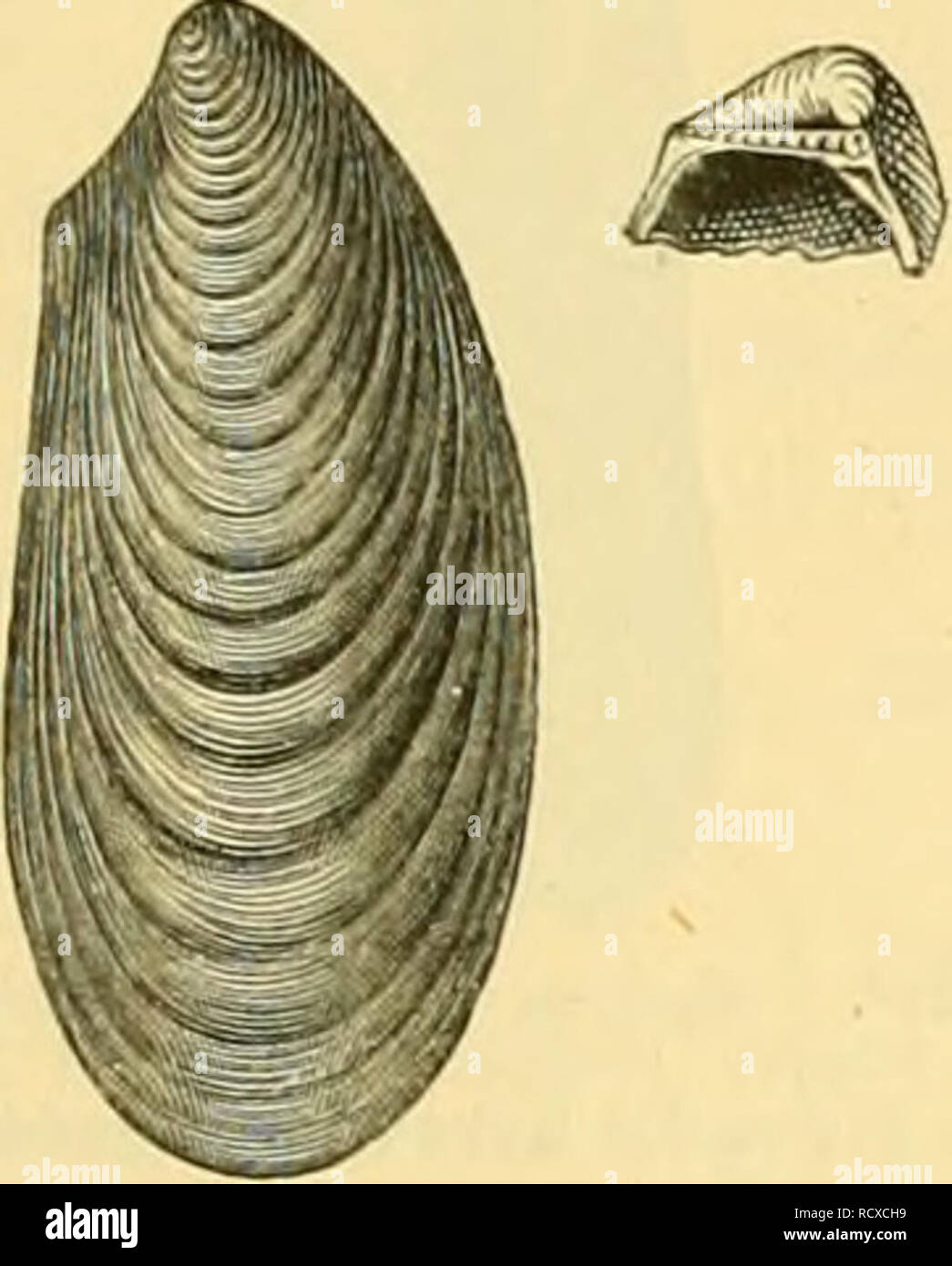 Kurze klasse hi-res stock photography and images - Alamy