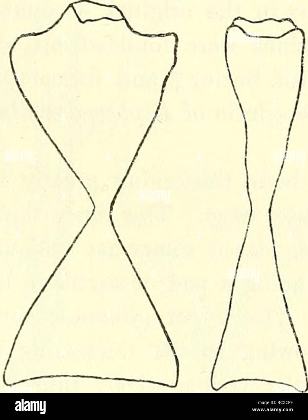 Backwards sloping hi-res stock photography and images - Alamy