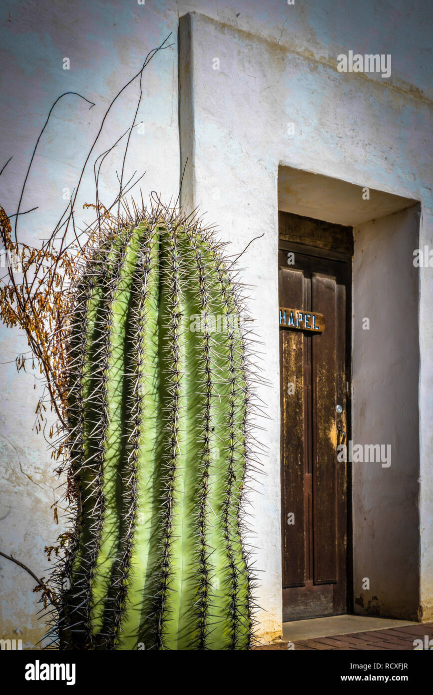 A saguaro cactus near entrance of old white Spanish style building with ...