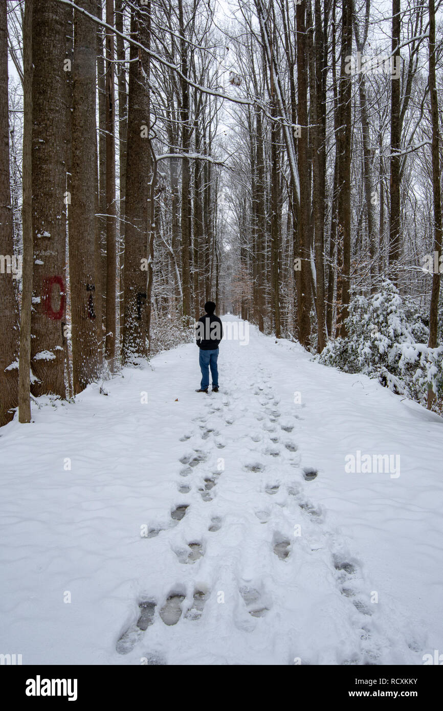 Snow covered trail Stock Photo - Alamy