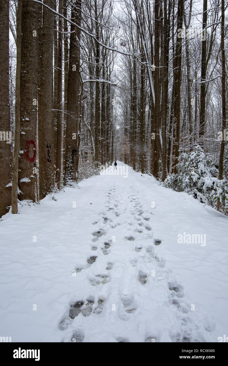 Snow covered trail Stock Photo - Alamy