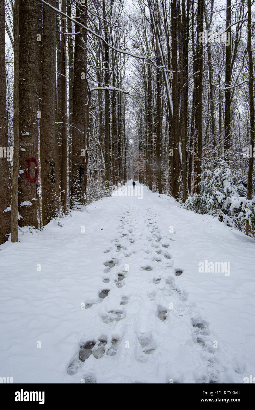 Snow covered trail Stock Photo - Alamy