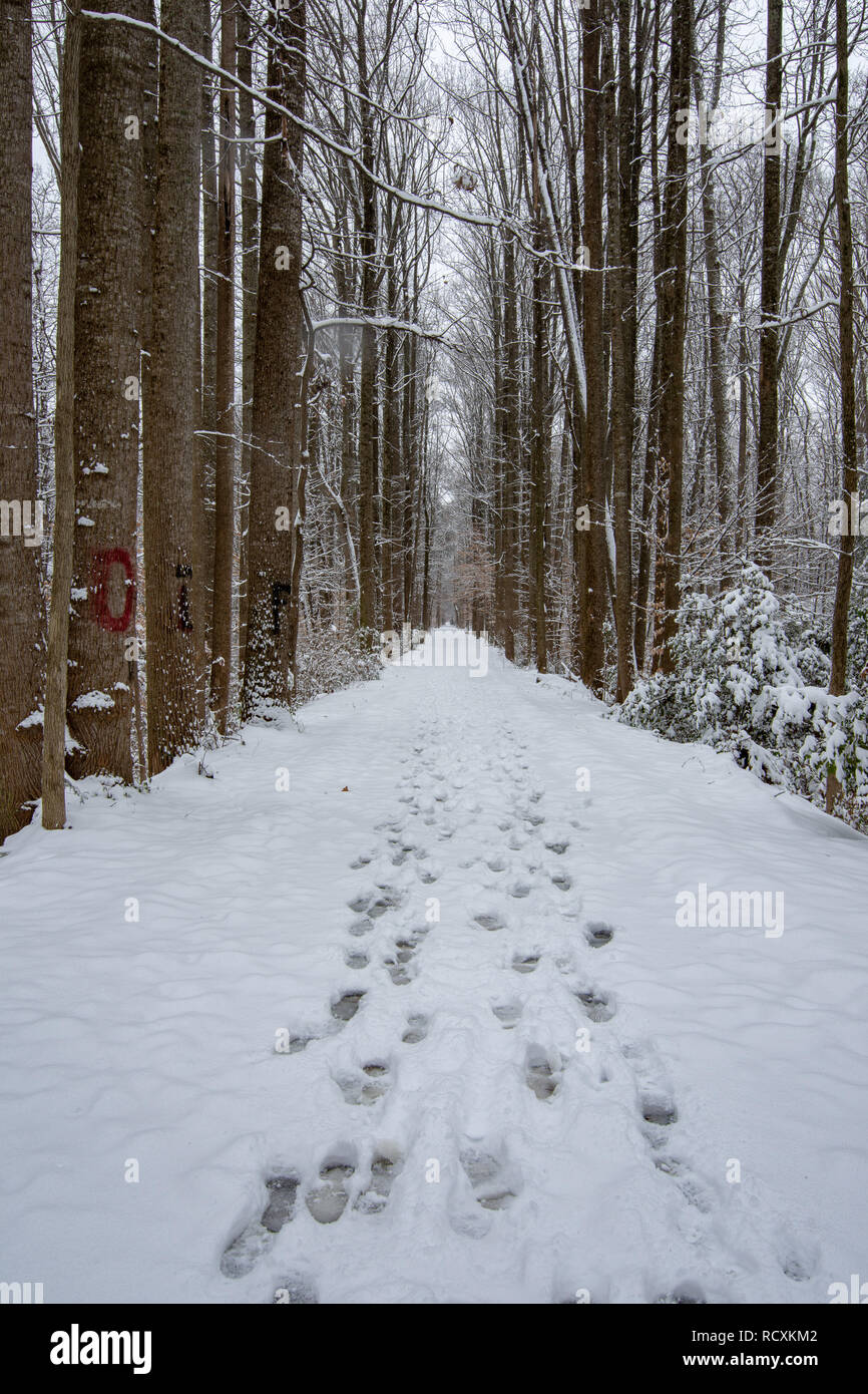 Quiet walking trail hi-res stock photography and images - Alamy