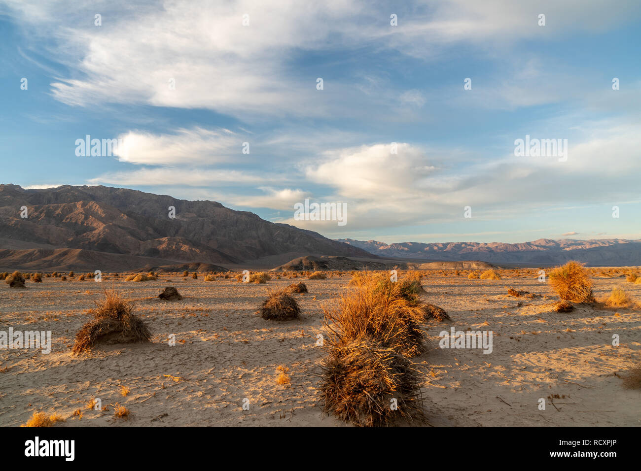 Plant basin hi-res stock photography and images - Alamy