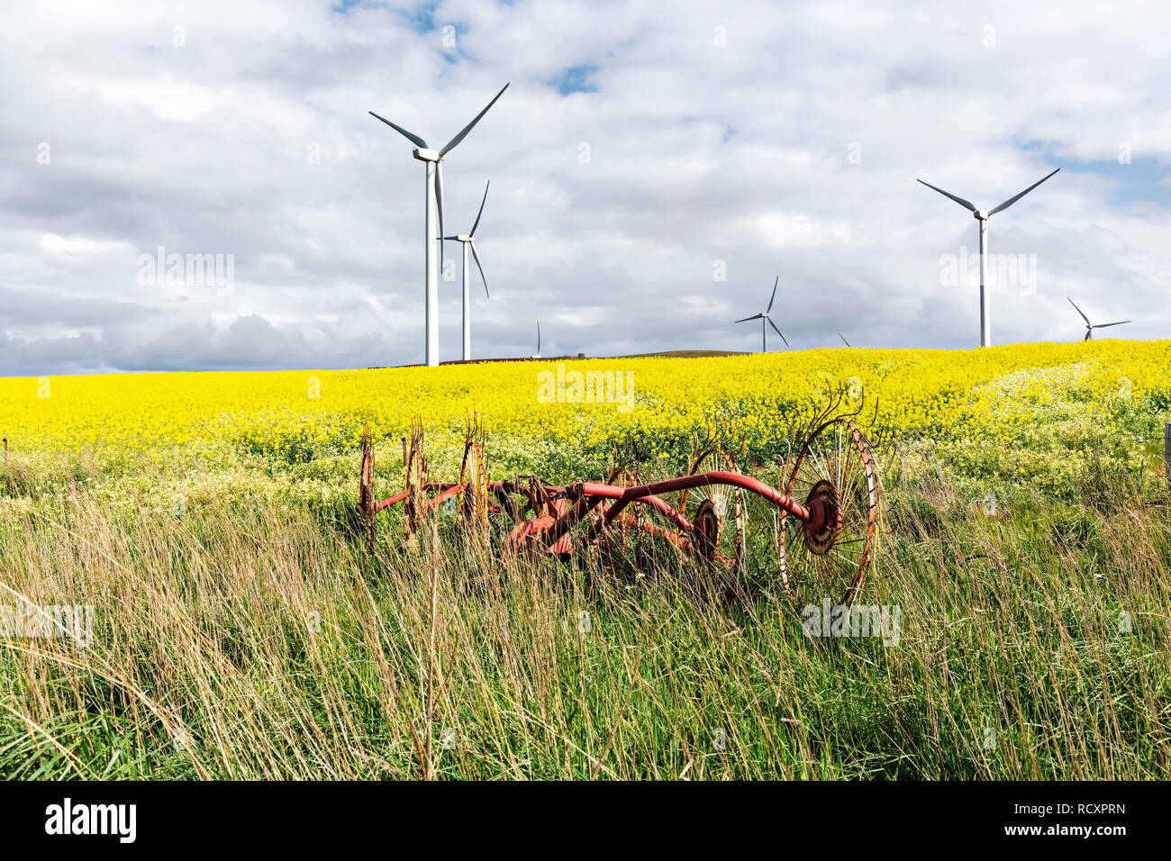 Eco friendly Wind Turbine Farm in Waubra Victoria Australia Stock Photo ...