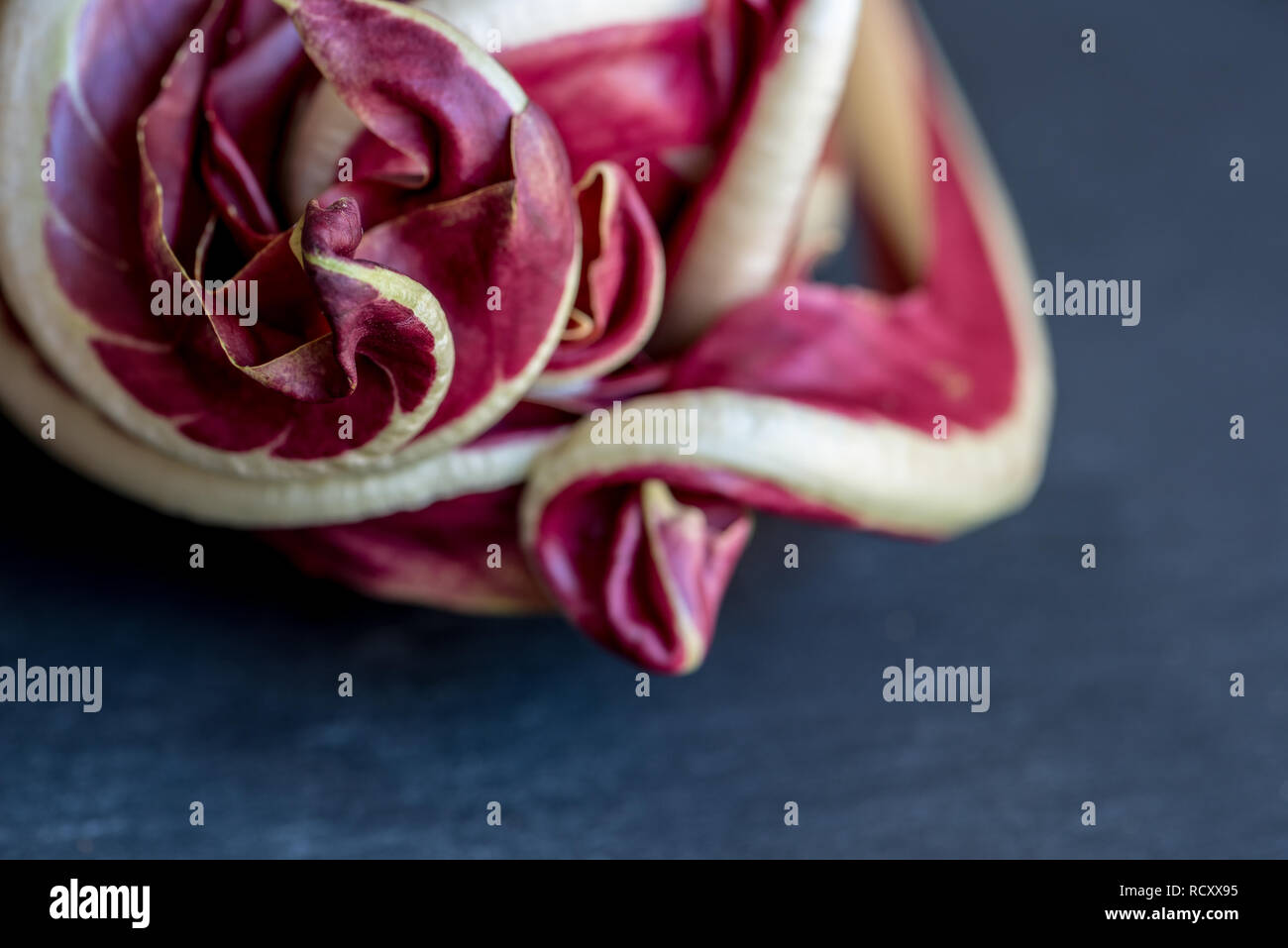 foreground of the tips of the leaves of a Treviso radicchio, vegan and ...