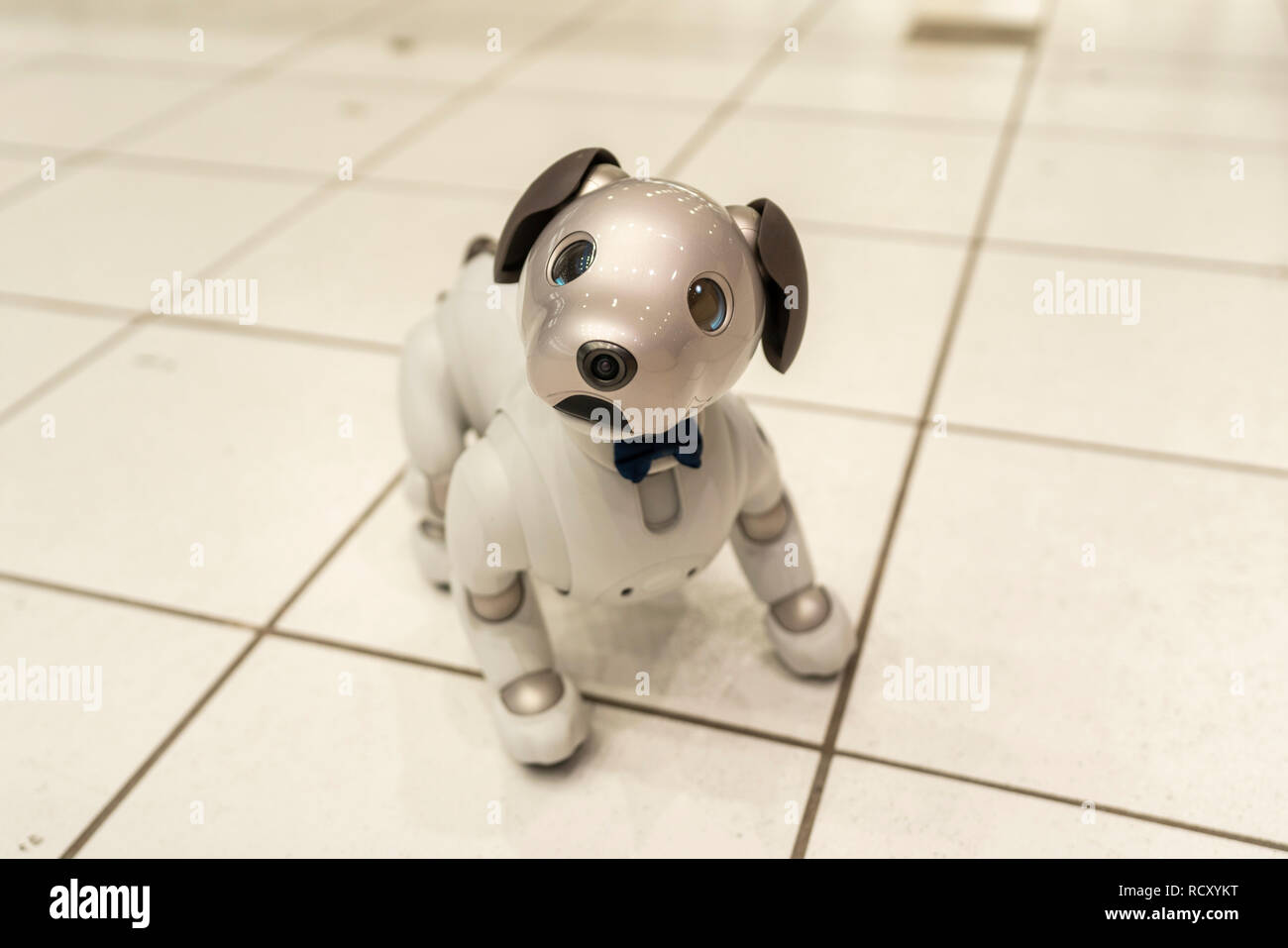 Sony aibo robot dog hi-res stock photography and images - Alamy