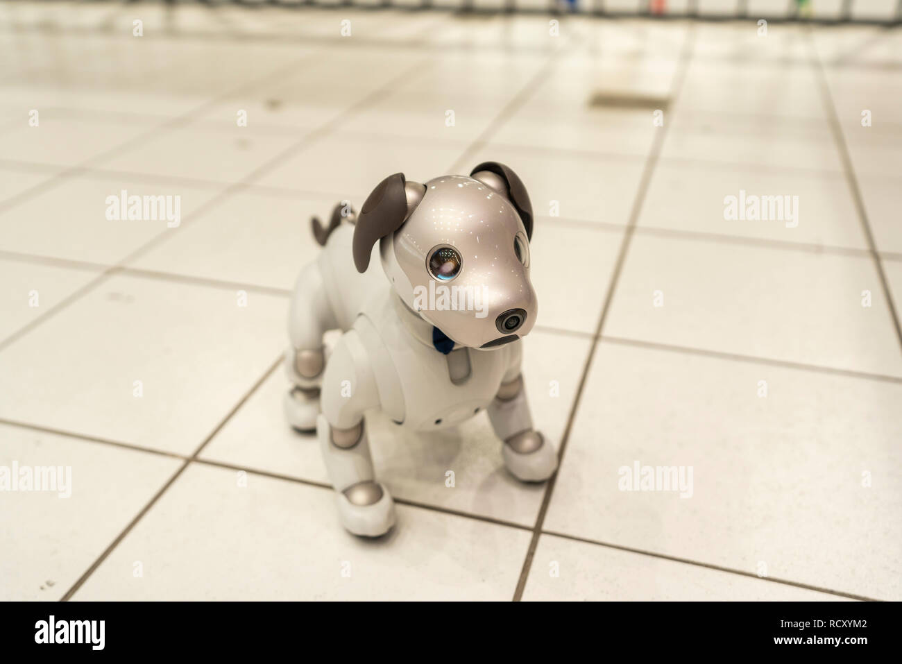 Sony aibo robot dog hi-res stock photography and images - Alamy