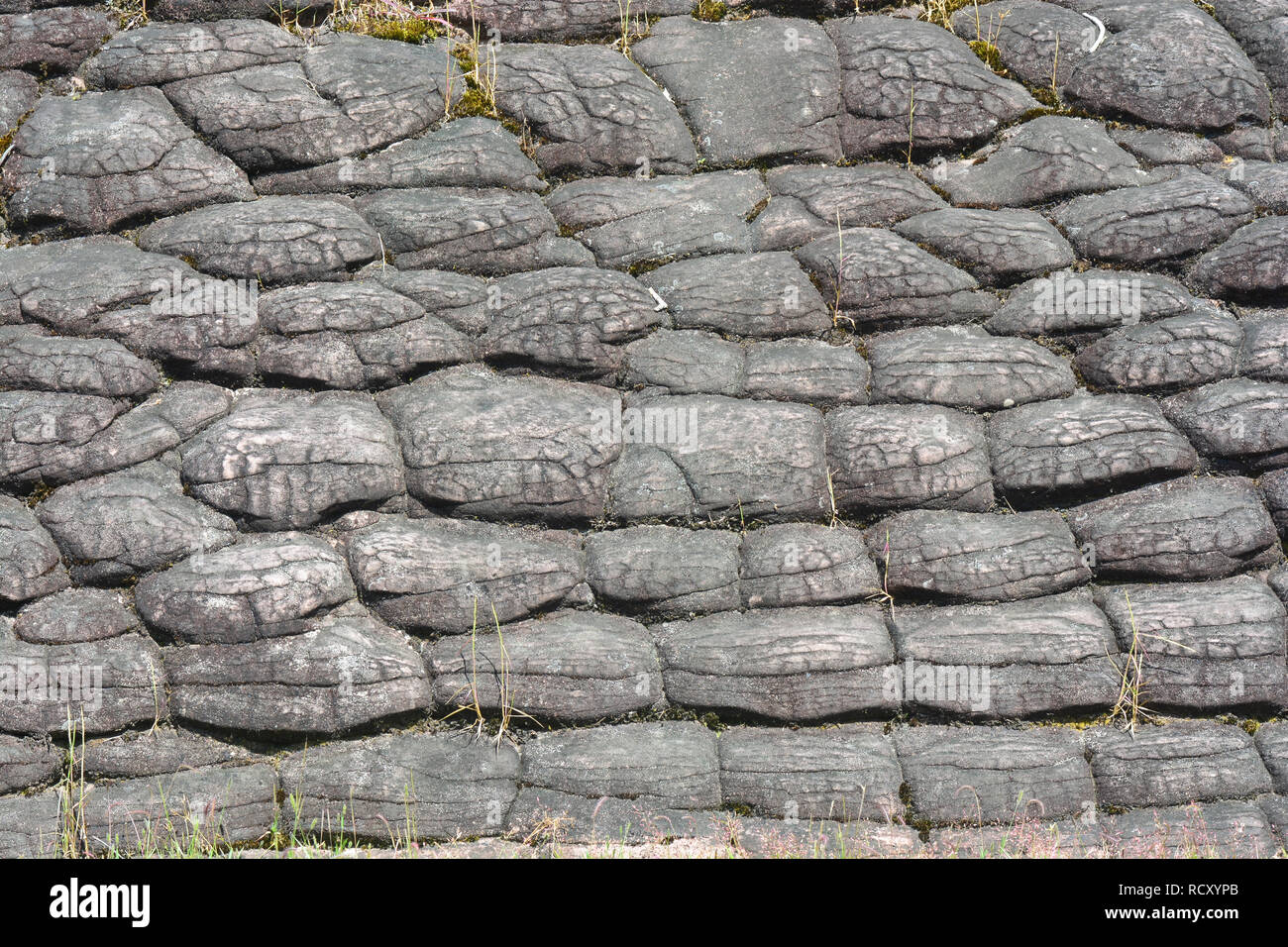 Sun Crack rocks at Phu Hin Rongkla national park, Phitsanulok, Thailand ...