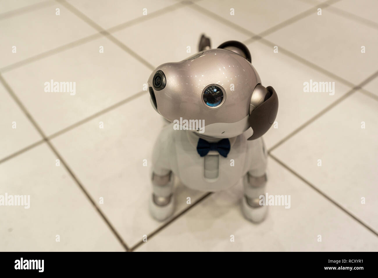 Sony aibo robot dog hi-res stock photography and images - Alamy