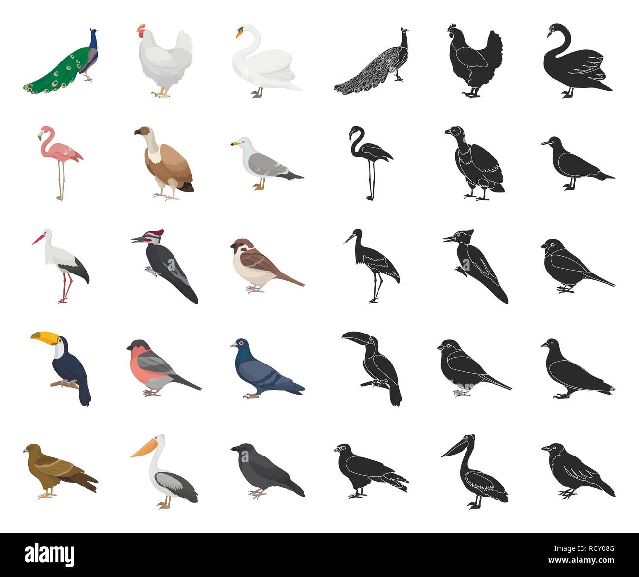 Stork species Stock Vector Images - Alamy