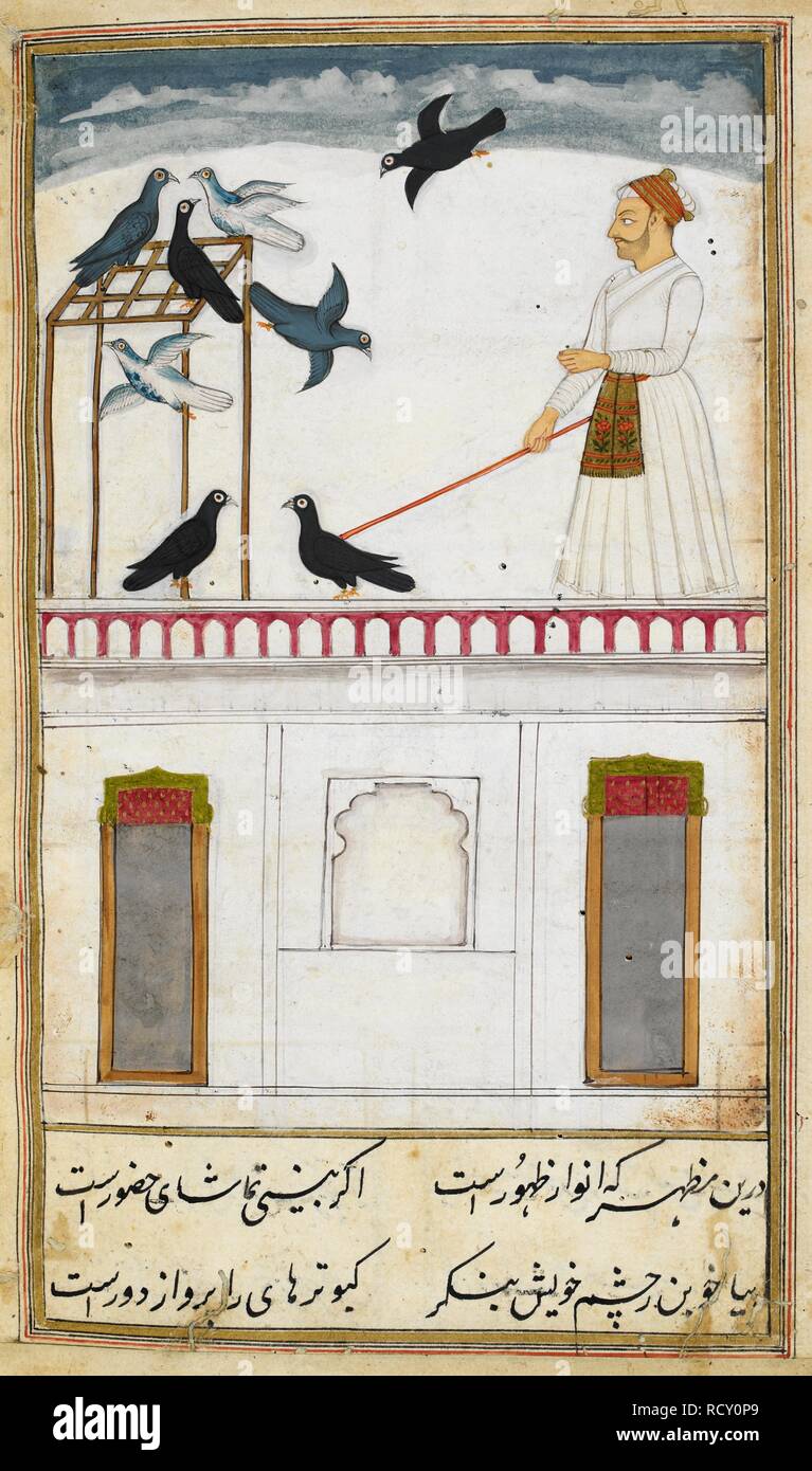 Kabutar nama hi-res stock photography and images - Alamy