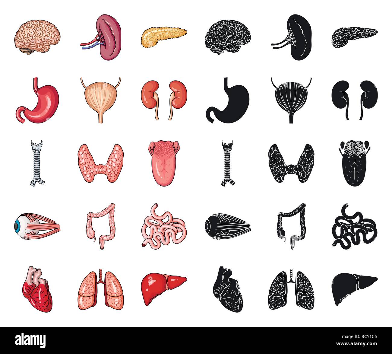 Urinary bladder illness Stock Vector Images - Alamy