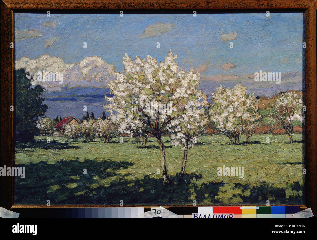 Cherry Trees Blooming. Museum: State Museum of Architecture, History ...