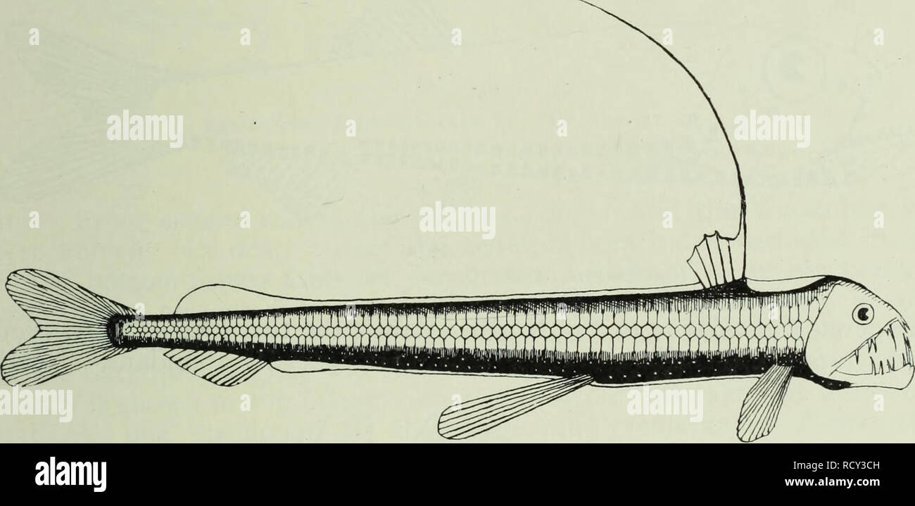 . The depths of the ocean; a general account of the modern science of ...