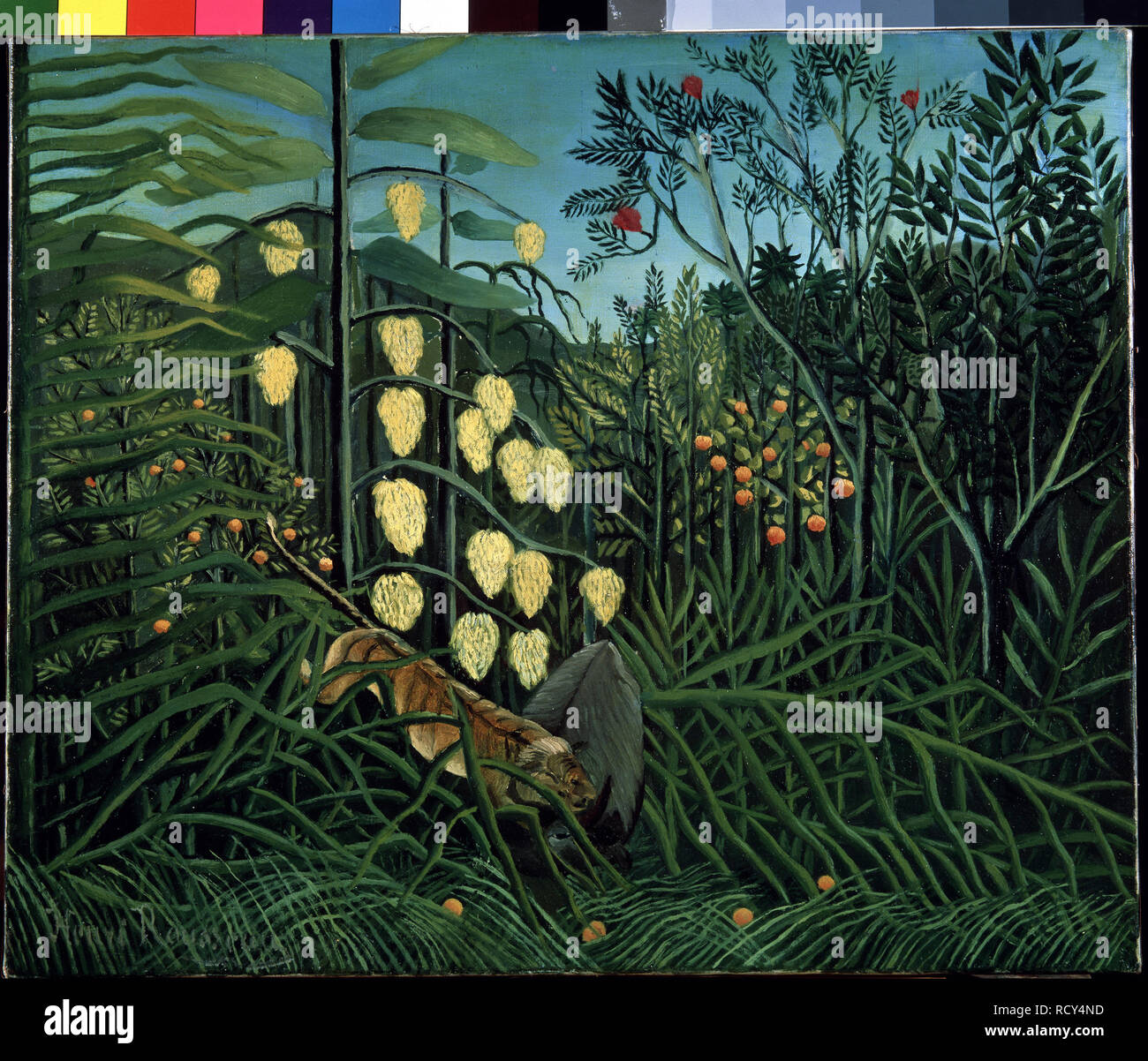 In a tropical Forrest. Struggle between Tiger and Bull. Museum: State ...