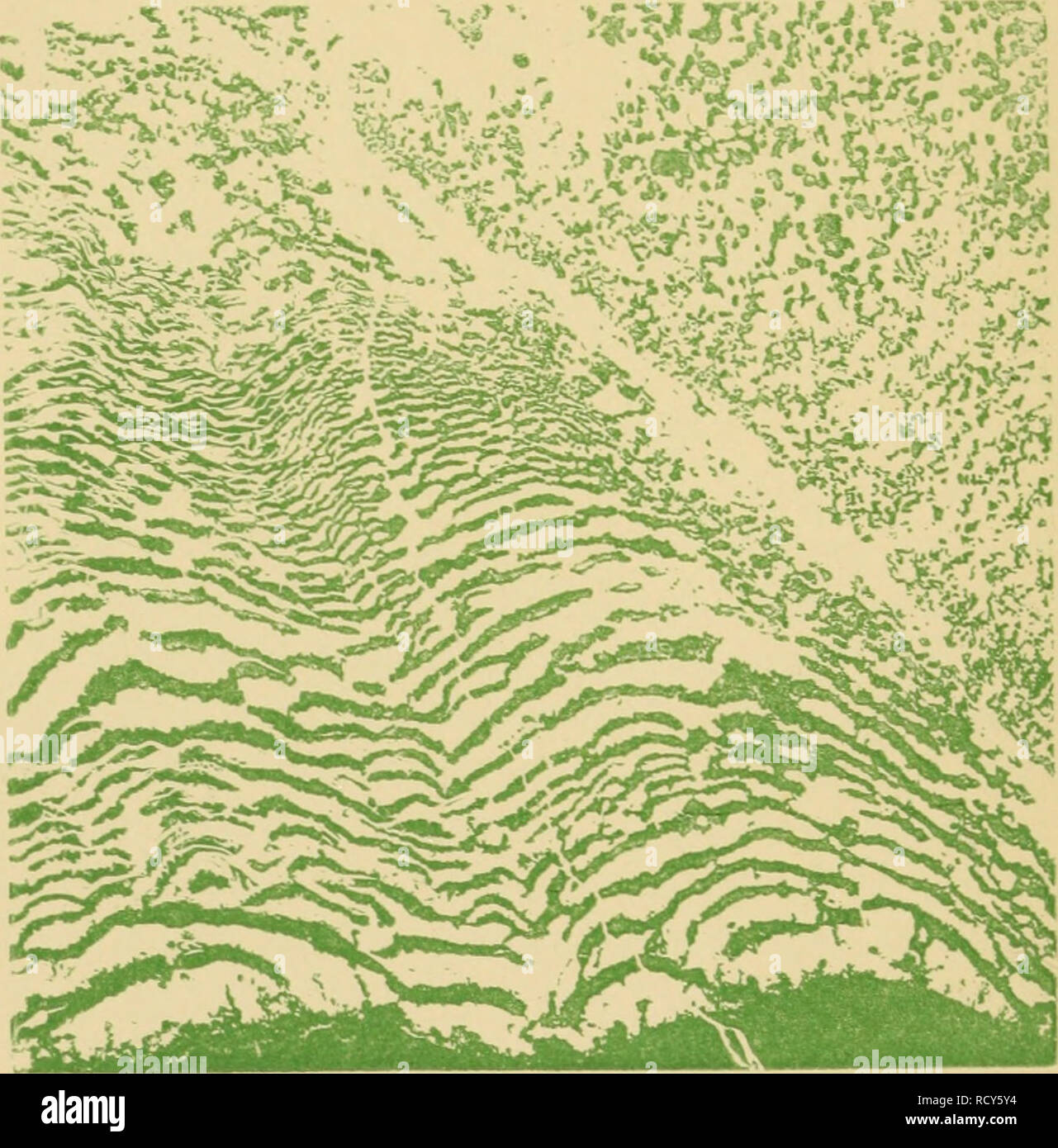 Electrotype plate hi-res stock photography and images - Alamy