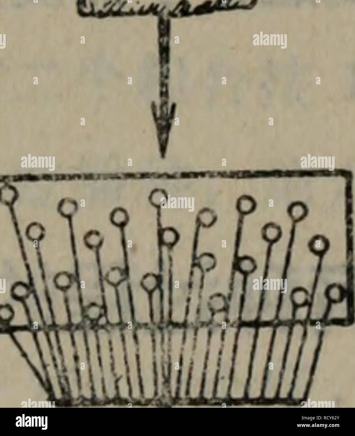 . da tian zuo wu yu zhong xue yu zhong zi fan yu xue shi xi zhi dao ...