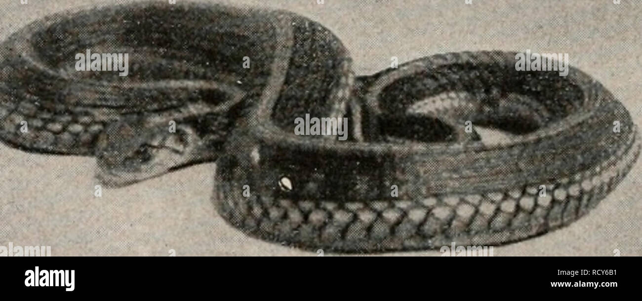 Smooth undulations hi-res stock photography and images - Alamy