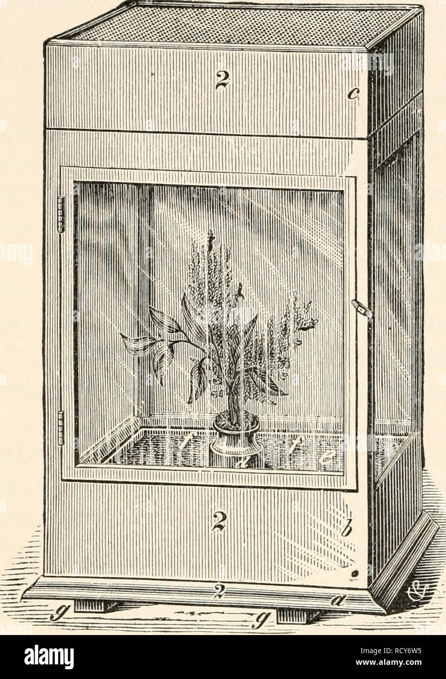 Insects dissection hi-res stock photography and images - Alamy
