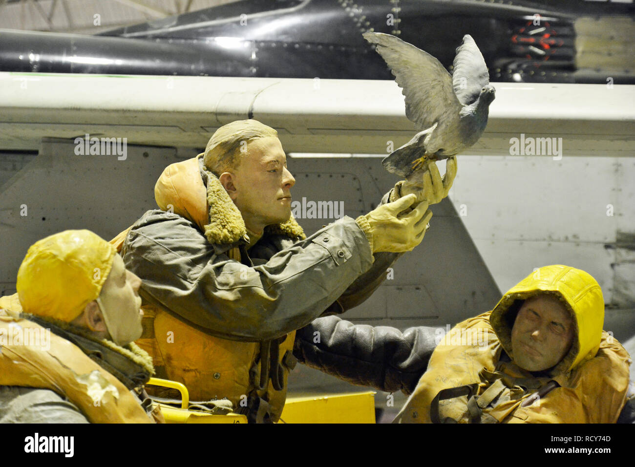 Pigeon war hi-res stock photography and images - Alamy