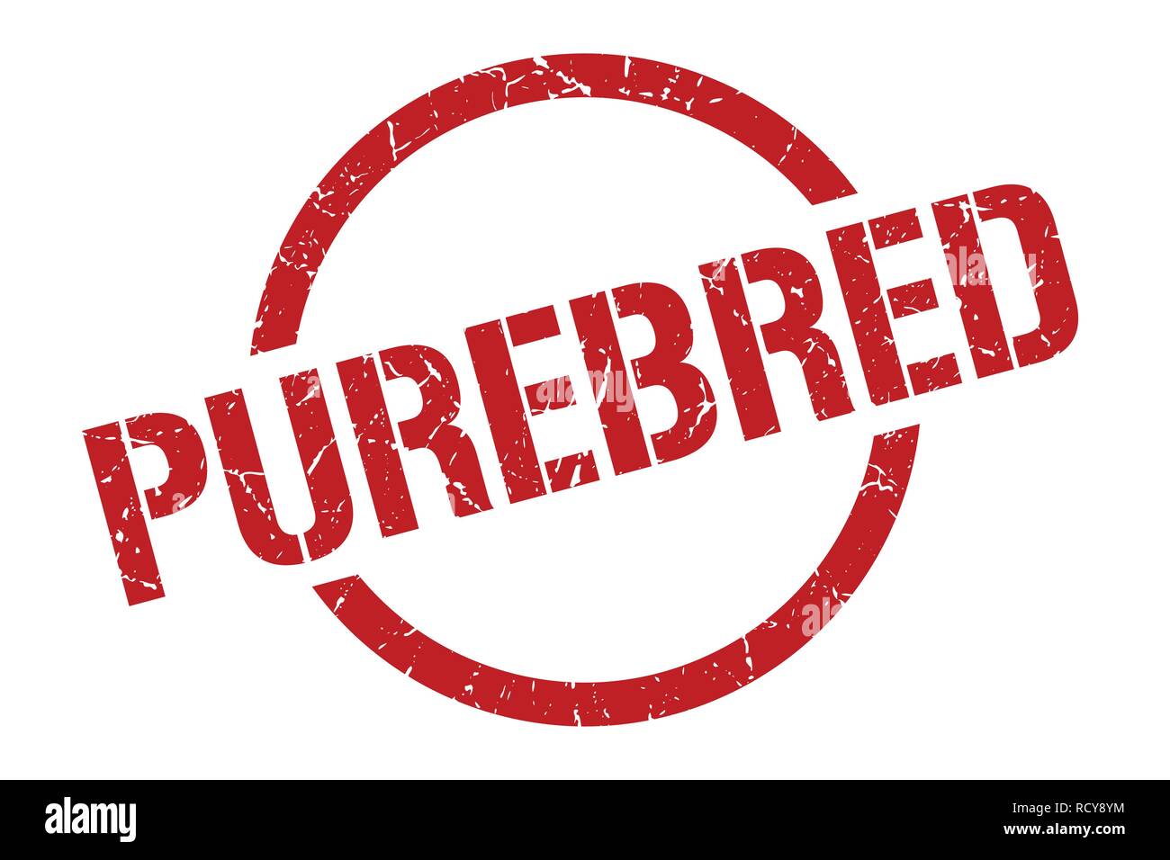 purebred red round stamp Stock Vector Image & Art - Alamy