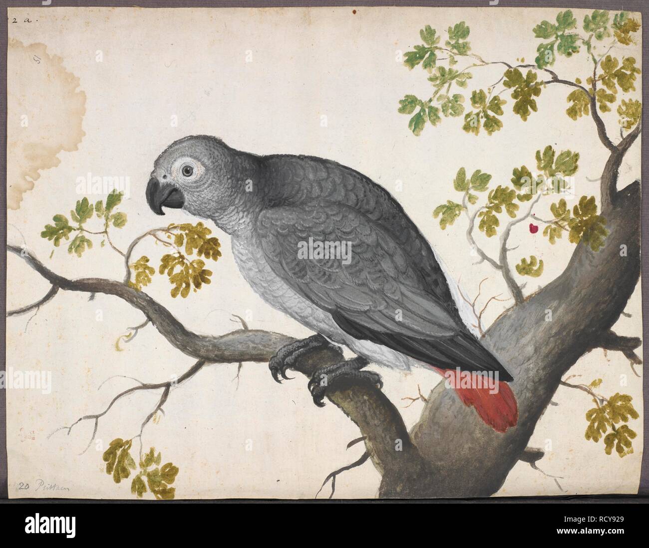 George f edwards hi-res stock photography and images - Alamy