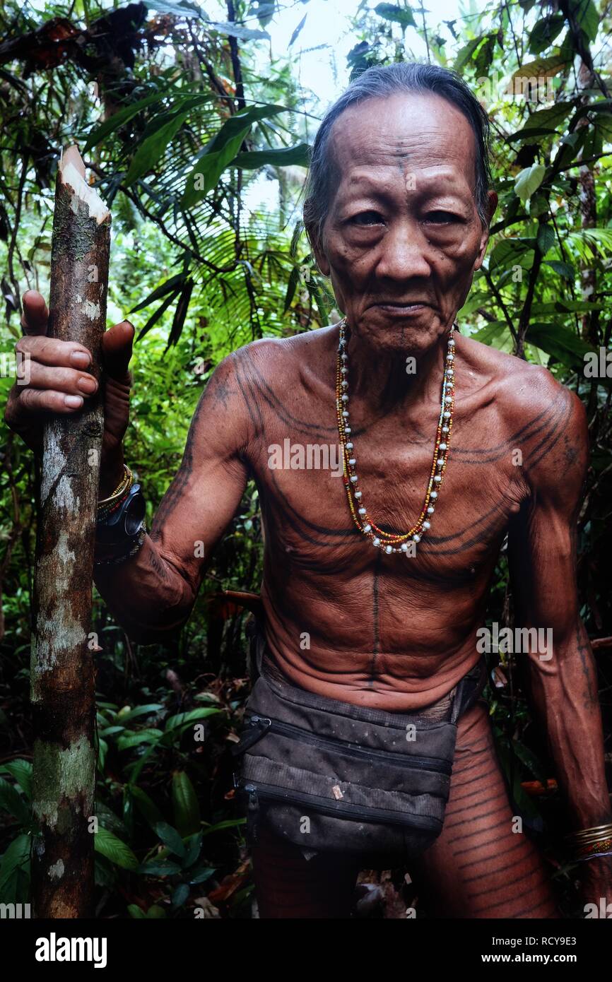 Muara Siberut, Mentawai Islands / Indonesia - Aug 15 2017: Tribal elder ...