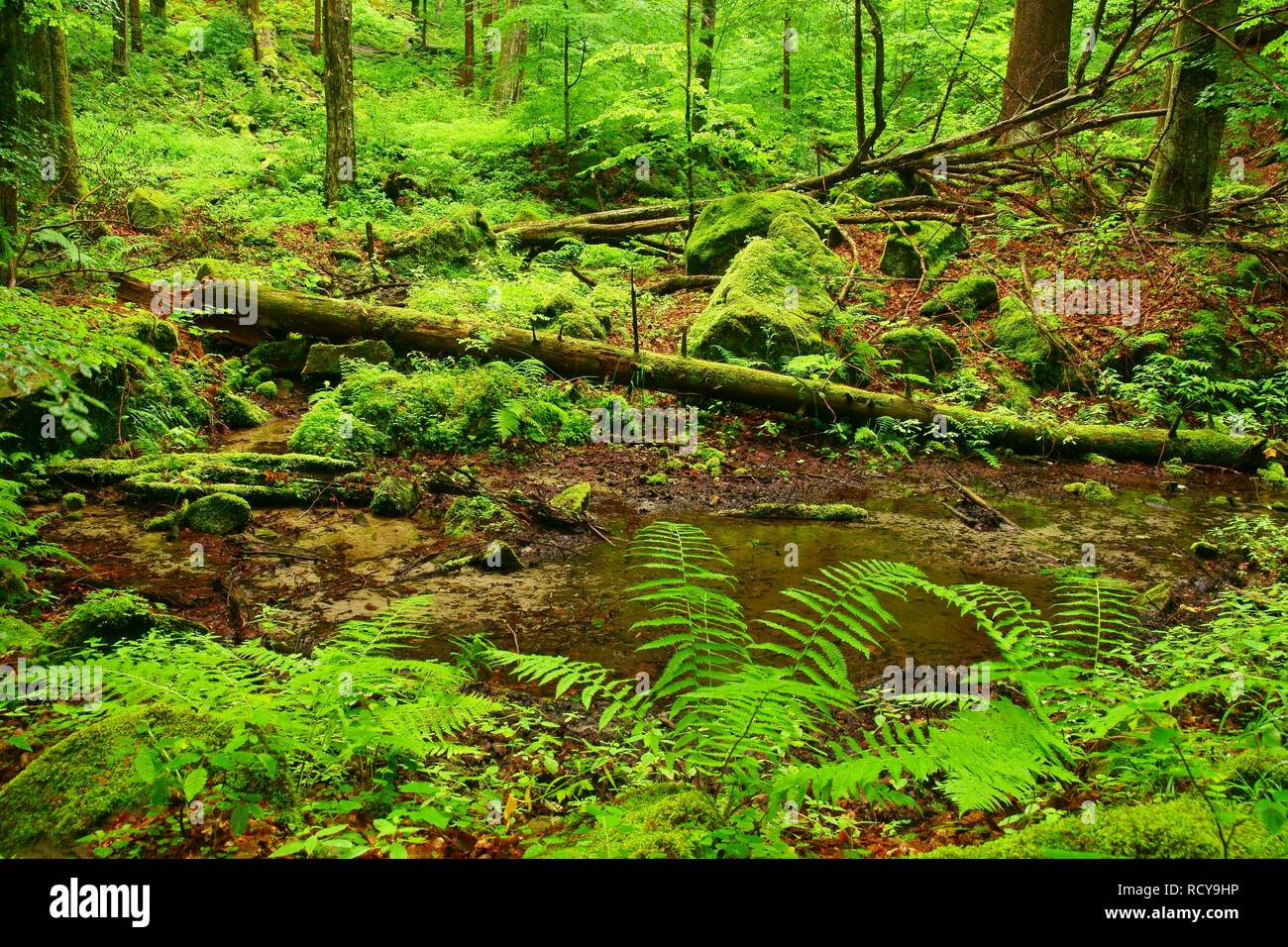 Primary reserve hi-res stock photography and images - Alamy