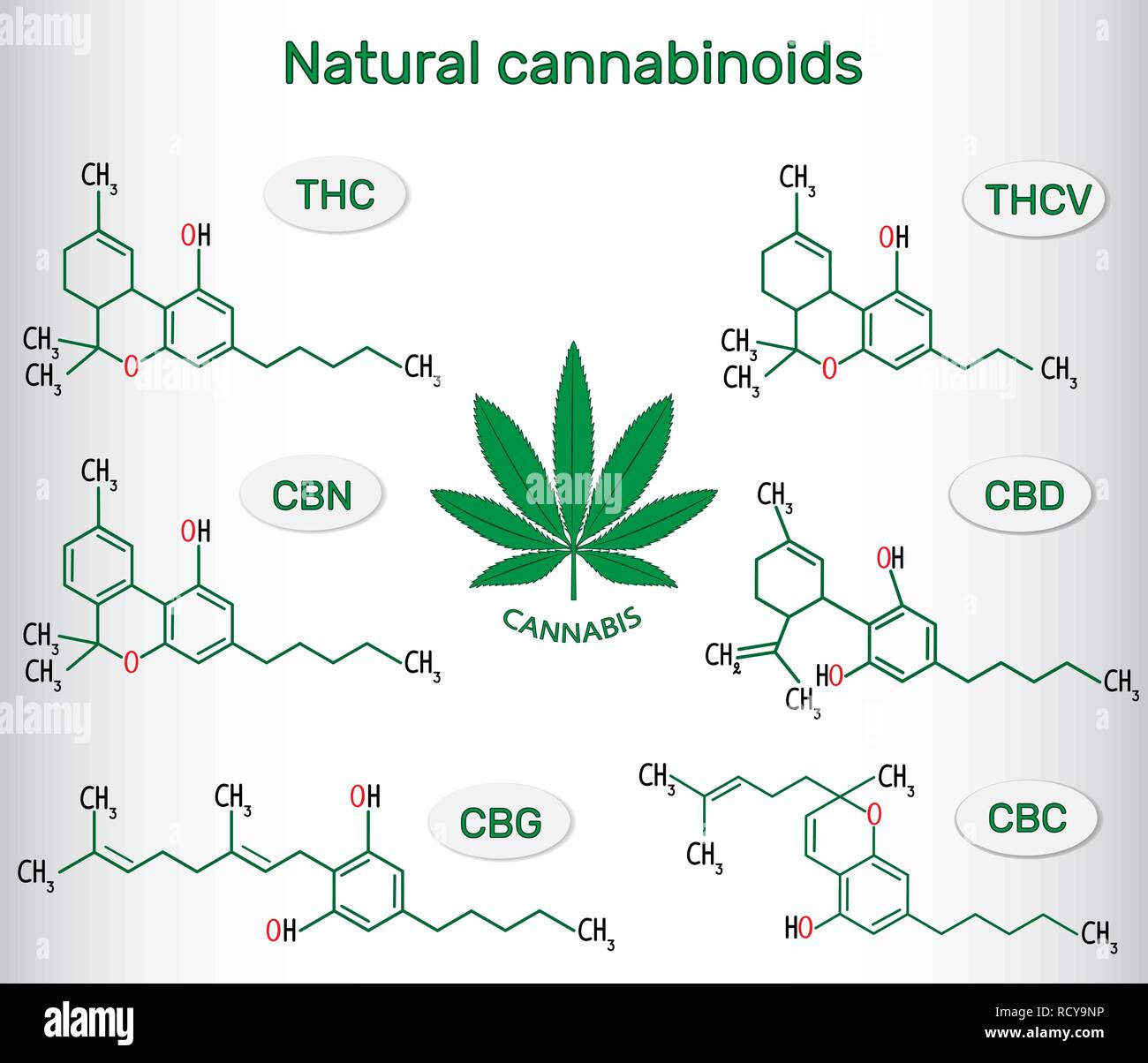 Chemical Formulas Of Natural Cannabinoids In Plants Of The Genus