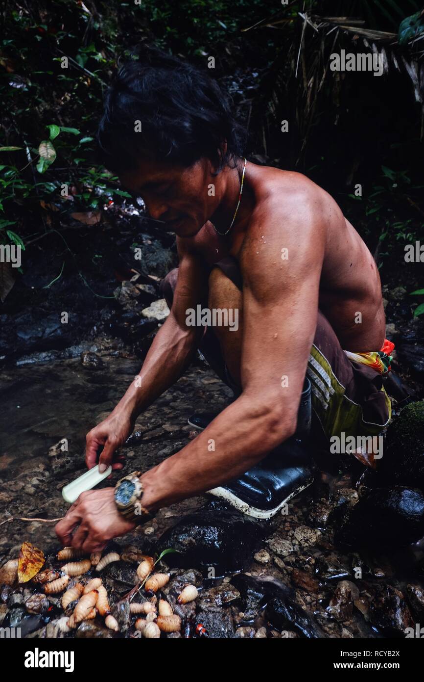 Muara Siberut, Mentawai Islands / Indonesia - Aug 15 2017: Tribal ...